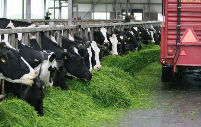 Farming Clinic in Meru on horticulture and dairy farming ...